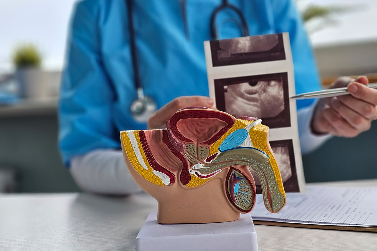 Cáncer de próstata: cómo detectarlo antes de que avance